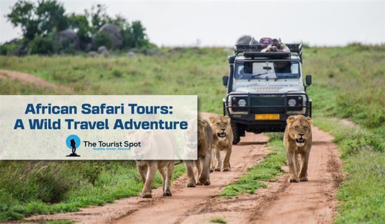 African Safari Tours: A Wild Travel Adventure - The Tourist Spot