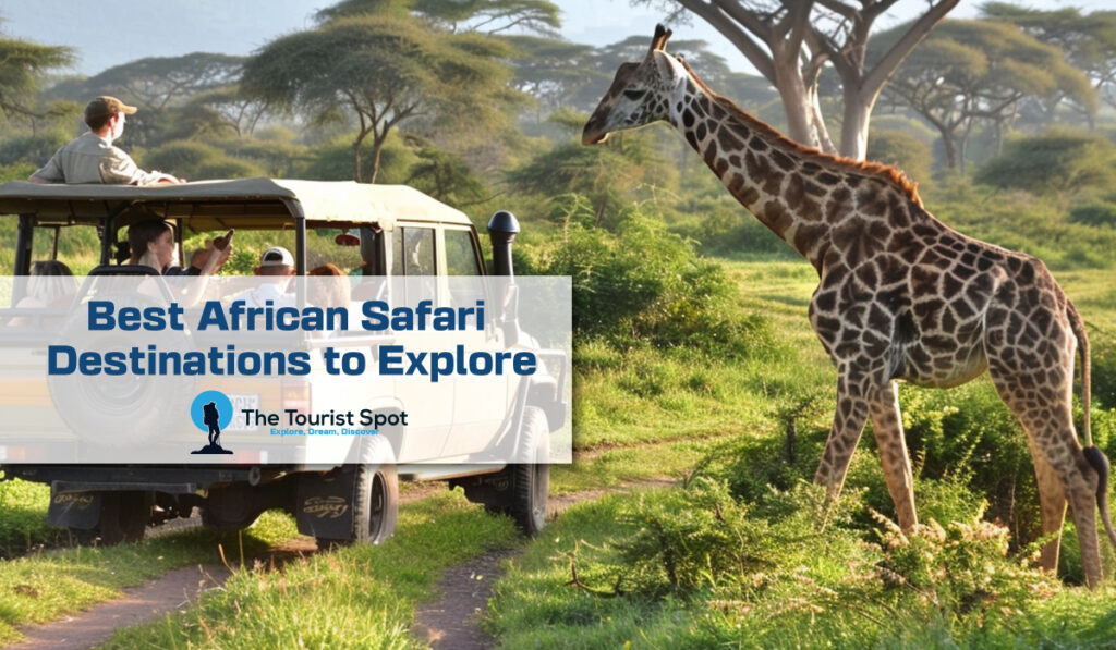 Best African Safari Destinations to Explore - The Tourist Spot