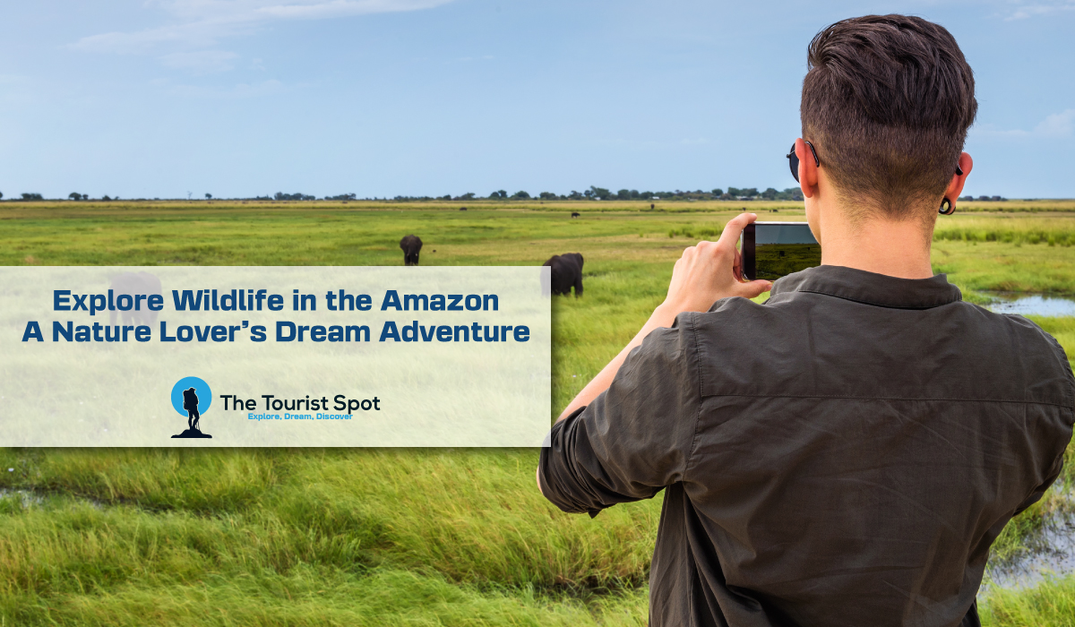 Explore Wildlife in the Amazon – A Nature Lover’s Dream Adventure - The ...