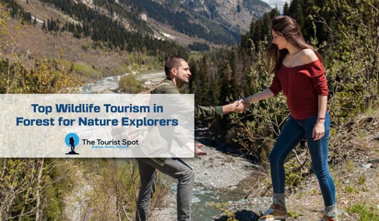 Top Wildlife Tourism in Forest for Nature Explorers - The Tourist Spot